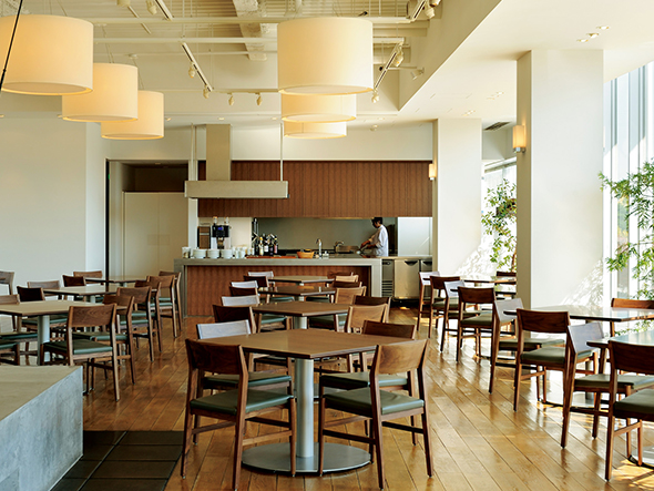 FLYMEe BASIC Dining Chair / フライミーベーシック ダイニングチェア e13178（オーク） - インテリア・家具通販【FLYMEe】